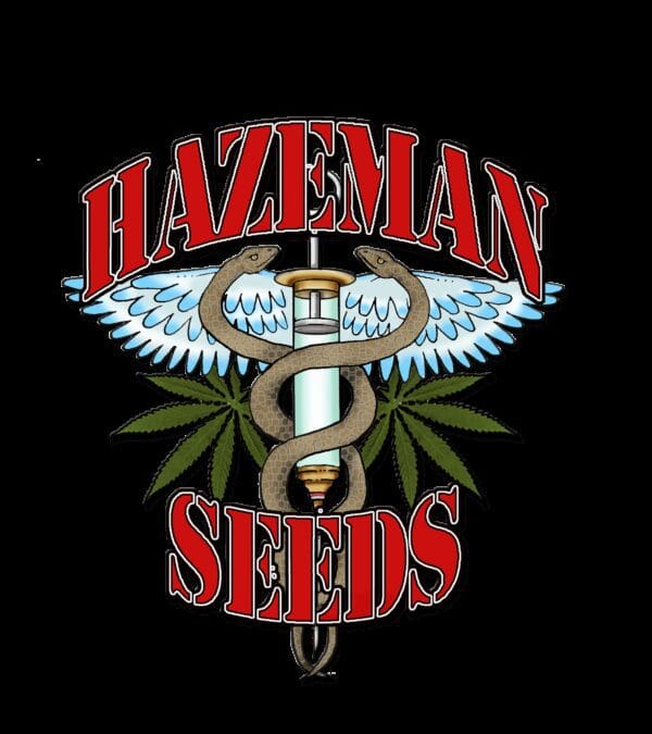 Monkey Balls (aka Deep Chunk F2) 12 Regular Seeds