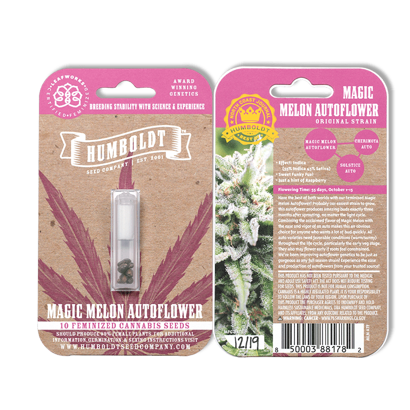 Strawberry Cheesecake Bx2 20 Regular Seeds - DCSE