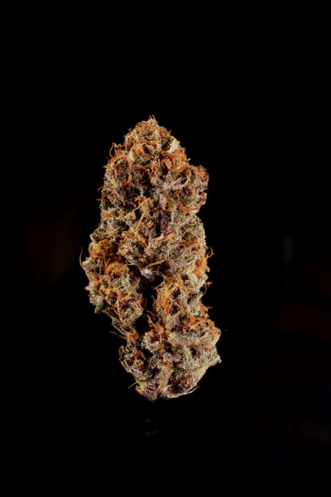 Drippy Eye S1 ({Juicy Fruit Thai x Snow Lotus} x Star Pupil) 7 ...